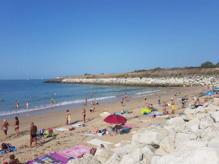 Top 9 des choses à faire à La Rochelle : vieux port, tours, halles...